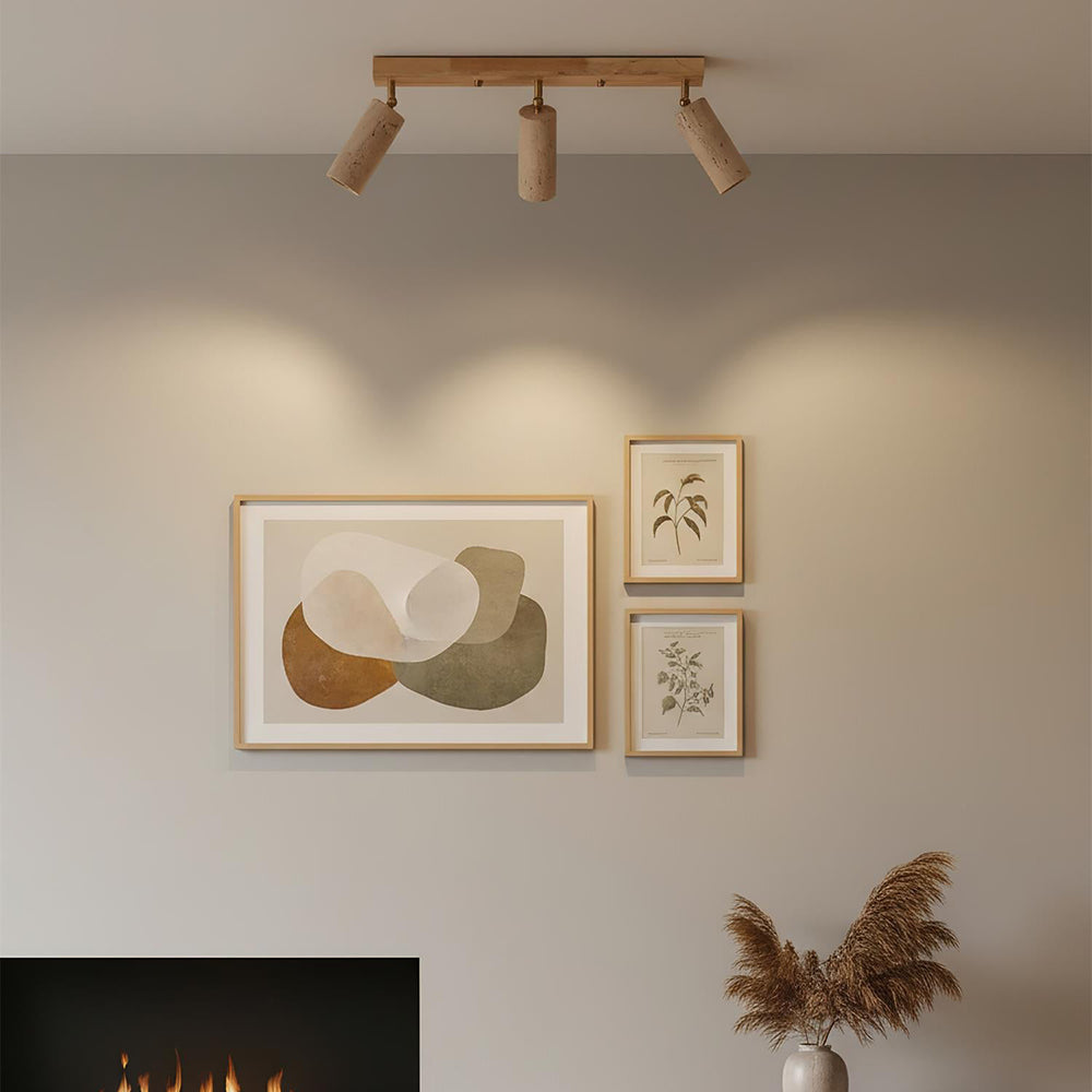 💡 The Magic of Light: How to Use Track and Spotlights to Highlight Art - Docos