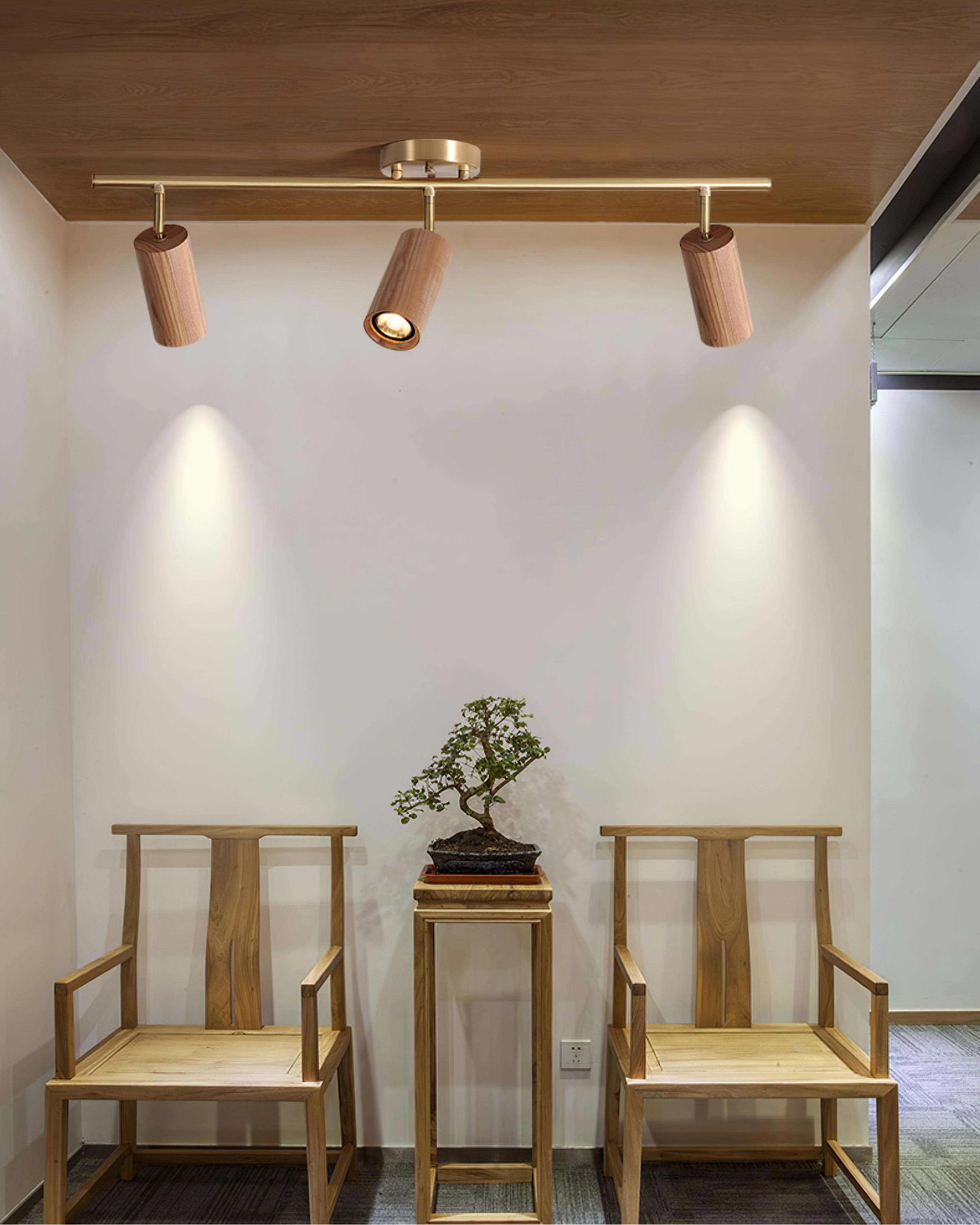 Thio Wooden Track Lighting - Docos